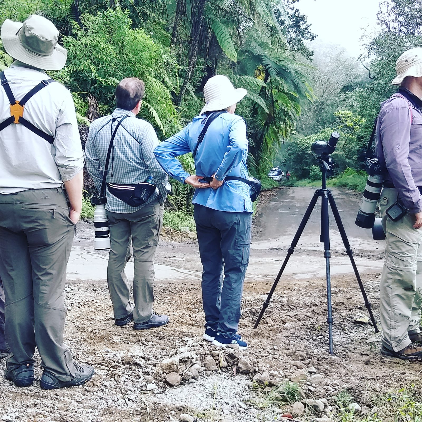 Our tours | Flores Komodo Birdwatching